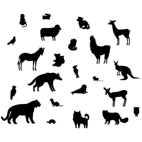 Parrot - Definition, Meaning & Synonyms | Vocabulary.com